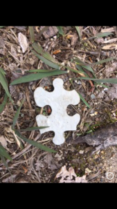 Pieces of the Puzzle - Wayfinding Coach